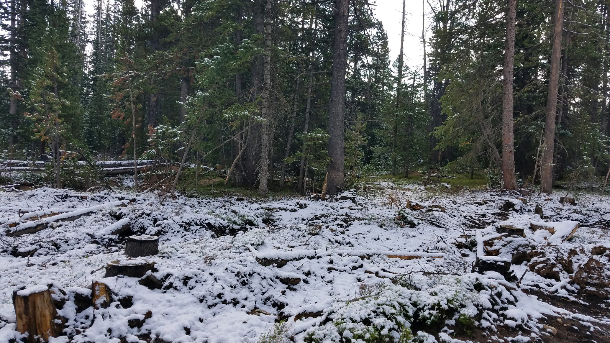 Vail Pass Sees First Snow of the Season