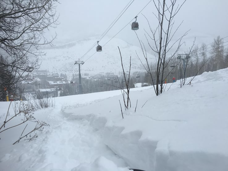 Best powder day runs at Vail by level, beginner through expert